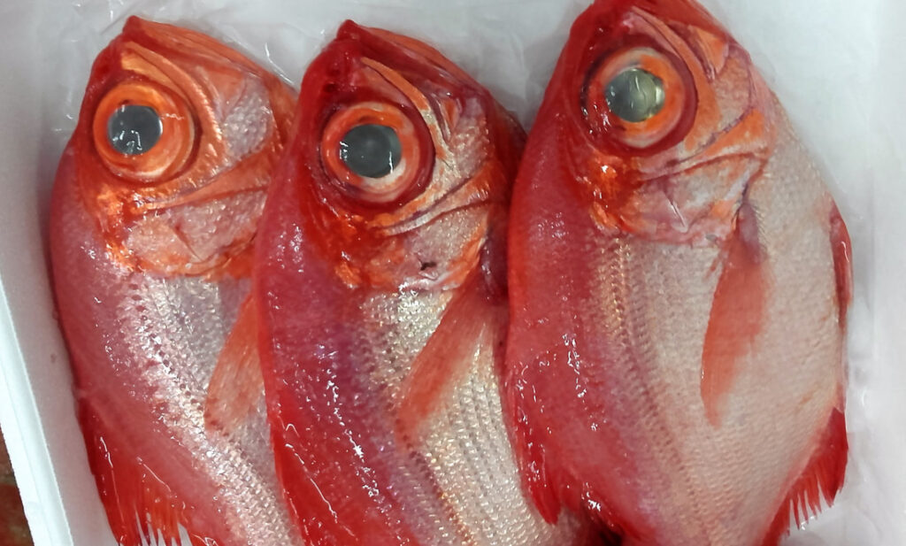 Mayorista de pescados para hostelería. Expertos en restaurantes